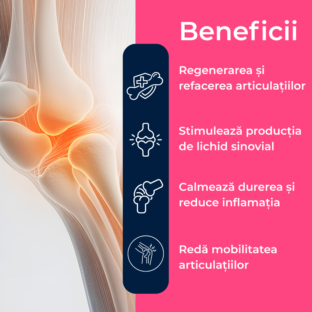 Comprimate pentru muschi si articulatii Regendol – Holistic-One.ro